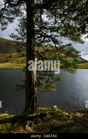 The amazing mountains and valleys at Lake District National Park in ...