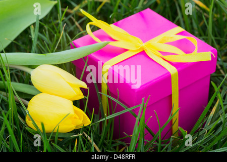 Pink yellow tulips and gift box with red ribbon, sweet hearts on a ...