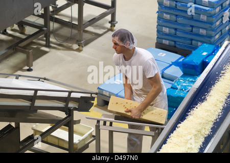 Berlin, Germany, the production hall at Freiberger food Stock Photo - Alamy