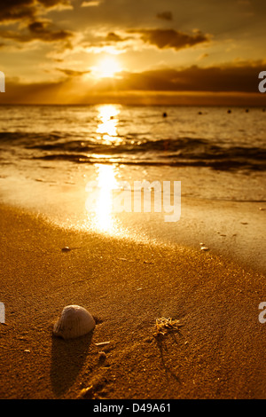 Sunset on the sea with the waves Stock Photo - Alamy