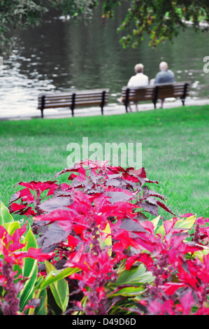 Senior citizen sitting on bench Stock Photo - Alamy