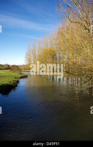 River Cherwell Lower Heyford Oxfordshire England UK Cherwell Valley ...