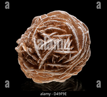 Desert Rose - Baryte (barium sulphate Stock Photo - Alamy