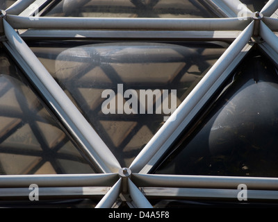 ROOF DETAIL OF TROPICAL DOME BRISBANE MT COOT-THA BOTANICAL GARDEN ...