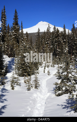 Burstall Pass, Kananaskis, Alberta Stock Photo - Alamy