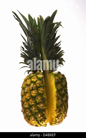 Pineapple contains proteolytic enzyme bromelain breaks down protein ...