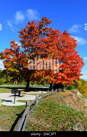 Fenced shoreline with colorful fall leaves autumn trees Michigan Stock ...