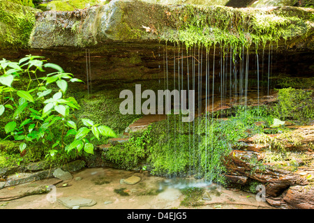 Diamond Falls in Catskill Mountain Region Stock Photo - Alamy