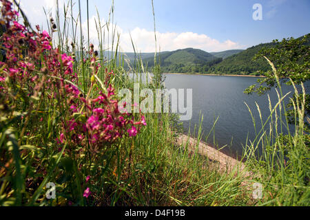 The picture shows the reservoir of Innerste dam at mountain range Harz ...