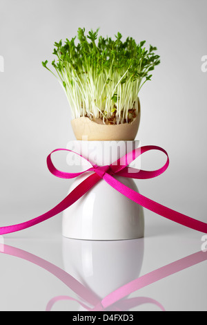 Easter egg shell with greens on gray background. Holiday composition ...