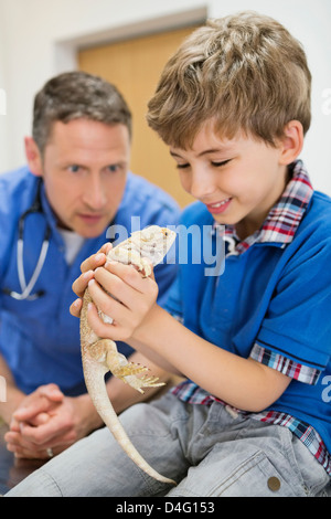 Veterinarian examining lizard in vet's surgery Stock Photo - Alamy