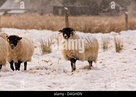 Kingussie in winter snow, Highlands, Scotland Stock Photo - Alamy