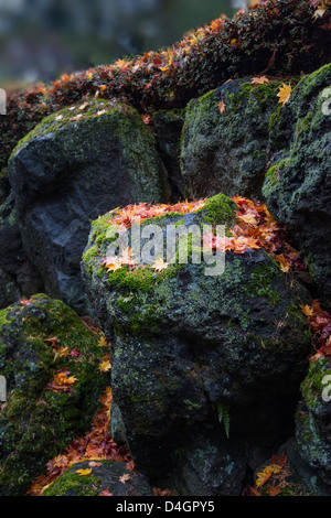 Rocks covered by the moss in autumn on a stream with the rapids, Zeleni vir, Croatia Stock Photo ...