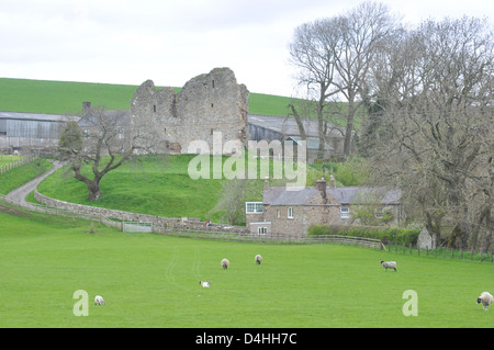 Thirlwall Castle, Northumberland Stock Photo - Alamy