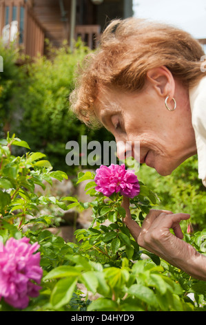Close up of a lovely woman smelling scented candle in shop Stock Photo ...