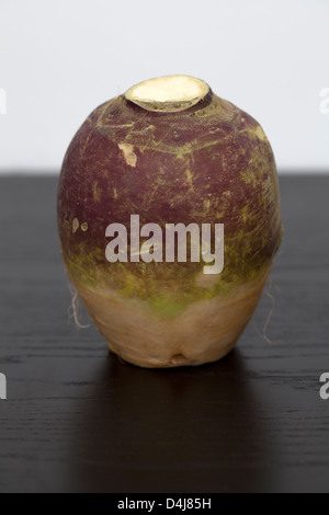 Rutabaga or Swede Stock Photo - Alamy