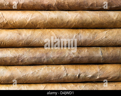 Havana cigars texture Stock Photo - Alamy