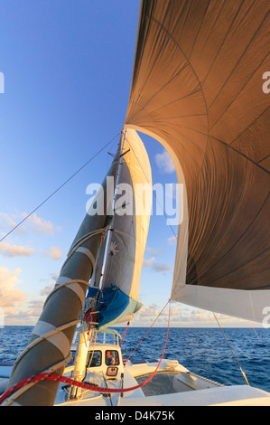 Man sails his boat with wind in his gray hair with blue sky Stock Photo ...