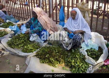 Khat for sale in a market in Ethiopia Stock Photo - Alamy