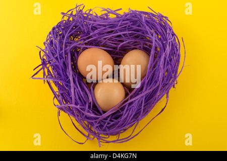 Heart shaped violet nest with eggs on blue background Stock Photo - Alamy