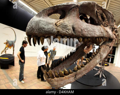A skeleton of a Lessemsaurus Sauropoides pictured at the Lokschuppen ...