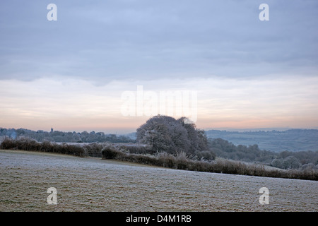 Fields in winter with snow and frost Stock Photo - Alamy