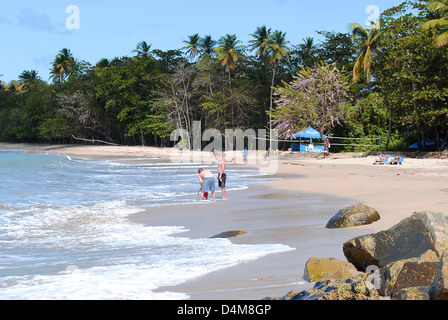 Warfe Beach in St Lucia Stock Photo - Alamy