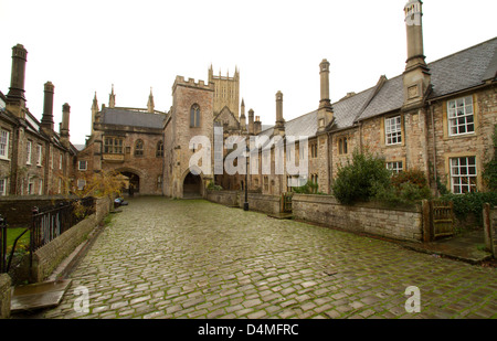 The Vicars Close, old medieval street at night, Cathedral church of St ...