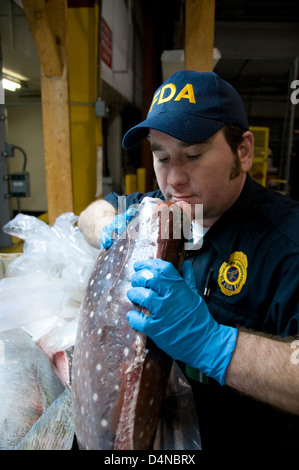FDA inspections have identified contamination risks in imported seafood ...