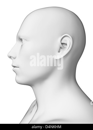 White male head Stock Photo - Alamy