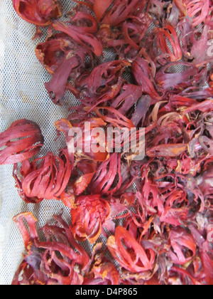 The FDA's Emergency Operations Center, along with FEMA and the National ...