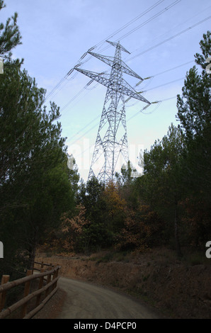 Big electric tower in the forest, like a steel monster. The electric ...