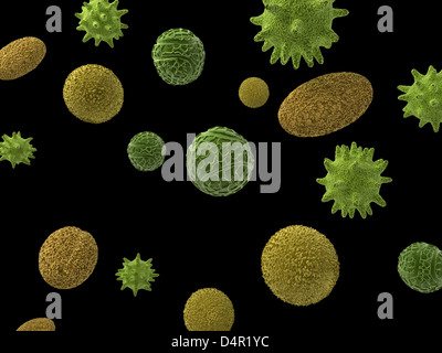 Pollen close up Stock Photo - Alamy