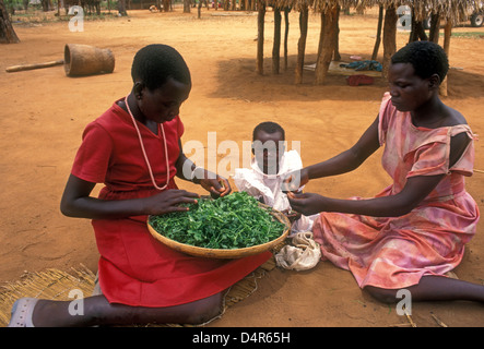 Zimbabwean woman, adult woman, woman, cooking, making sadza, sadza ...