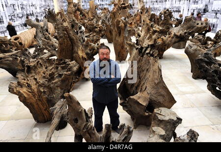 Artist Ai Weiwei stands in his artworks ?Rooted Upon? (100 parts of ...