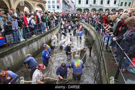 Participants of the Memmingen fishing day fish for trouts with wooden ...