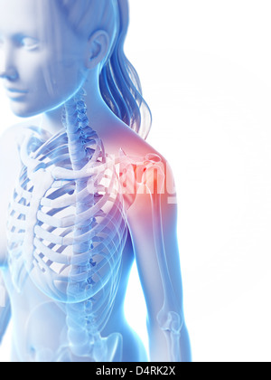 Highlighted shoulder joint Stock Photo - Alamy