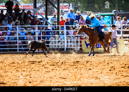 The Florida State 85th Rodeo Championships in Arcadia Stock Photo - Alamy