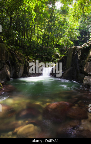 Chaudier Pool, Dominica Stock Photo - Alamy