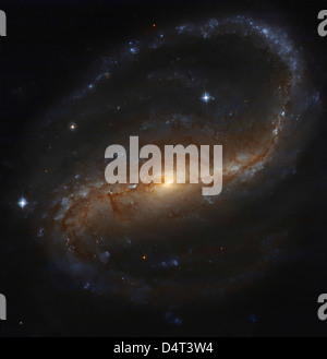 Barred spiral galaxy NGC 7479, Hubble Space Telescope image. NGC 7479 ...