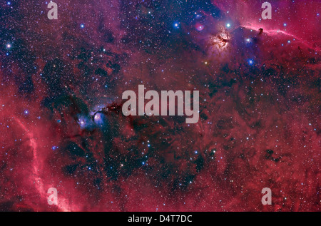 Orion Constellation and Barnard's Loop Nebula Constellation of Orion in ...