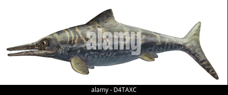 Ichthyosaur Ophthalmosaurus from the Late Jurassic period. Dated 2015 ...