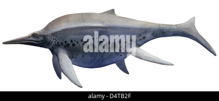 Illustration of a Shonisaurus Stock Photo - Alamy