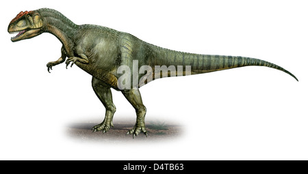 Allosaurus dinosaur, side view Stock Photo - Alamy