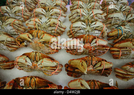 Freshly caught crabs Stock Photo - Alamy
