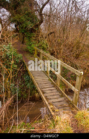A wooden footbridge over a stream on a foot path in Scotland Stock ...