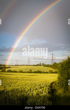 Power pylons in green field. Aerial view on Green wheat field with ...