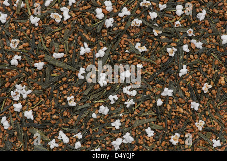 Japanese Genmaicha green tea. Brown rice tea / Popcorn tea on white ...