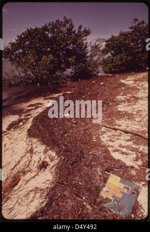 Little Duck Key, a small, undeveloped island in Florida, is shown in a ...