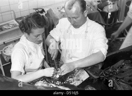 black doctor veterinarian and his caucasian assistant examining animal ...